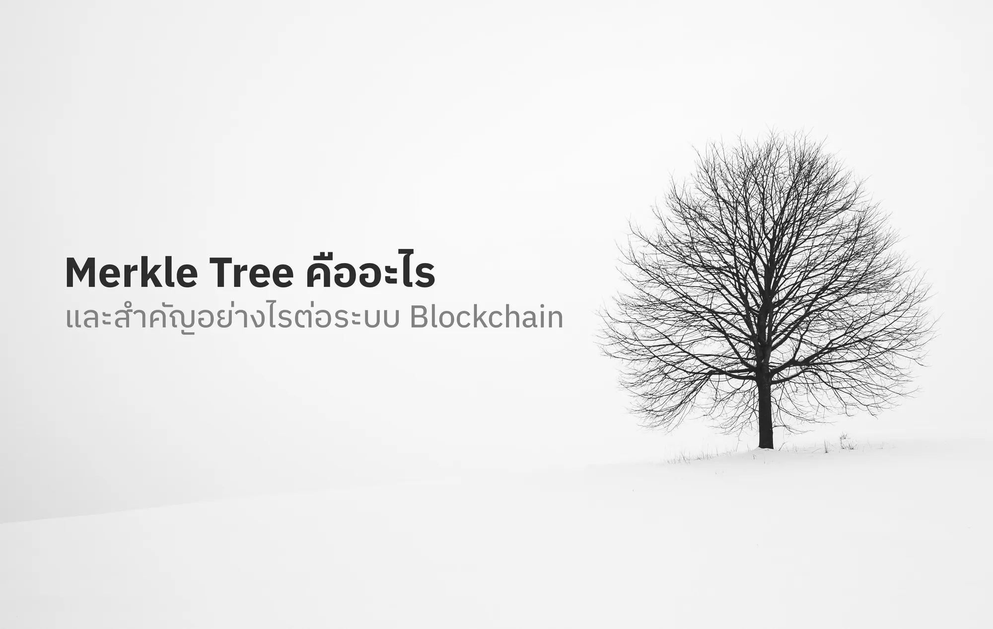 Merkle Tree คืออะไร และสำคัญอย่างไรต่อระบบ Blockchain